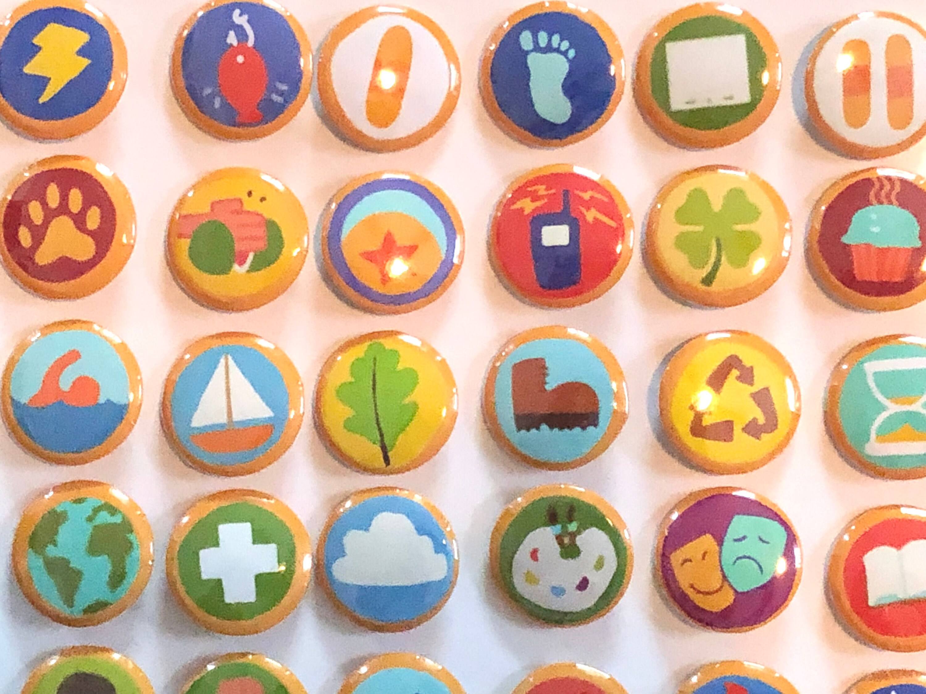 Wilderness Explorer Badges 1 Inch - Etsy