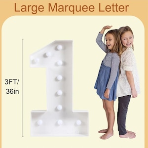 DIY Light up Number Prop: 60" Party Decor - Etsy