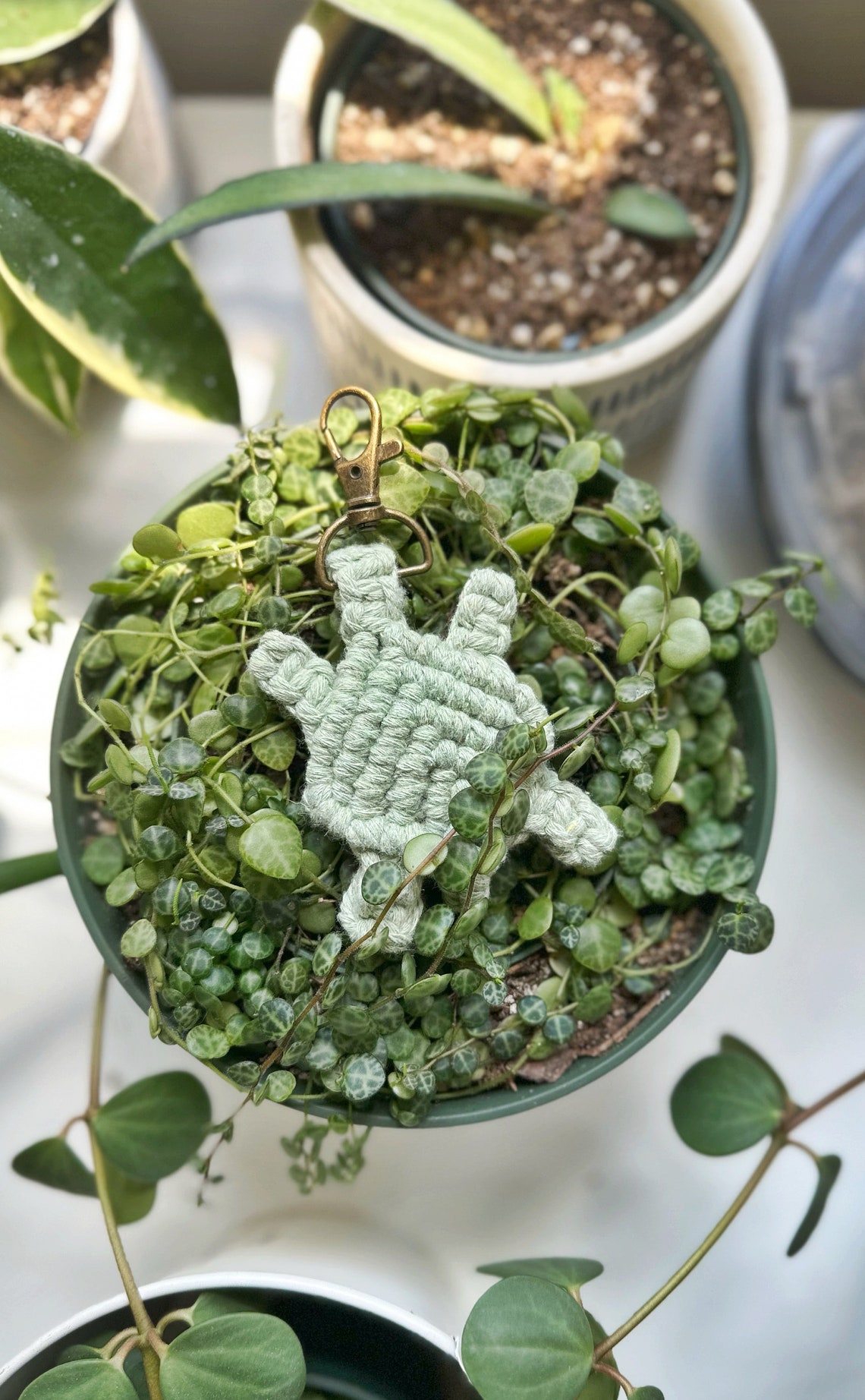 Tropical Macrame Turtle Keychain Collection Colorful Sea - Etsy