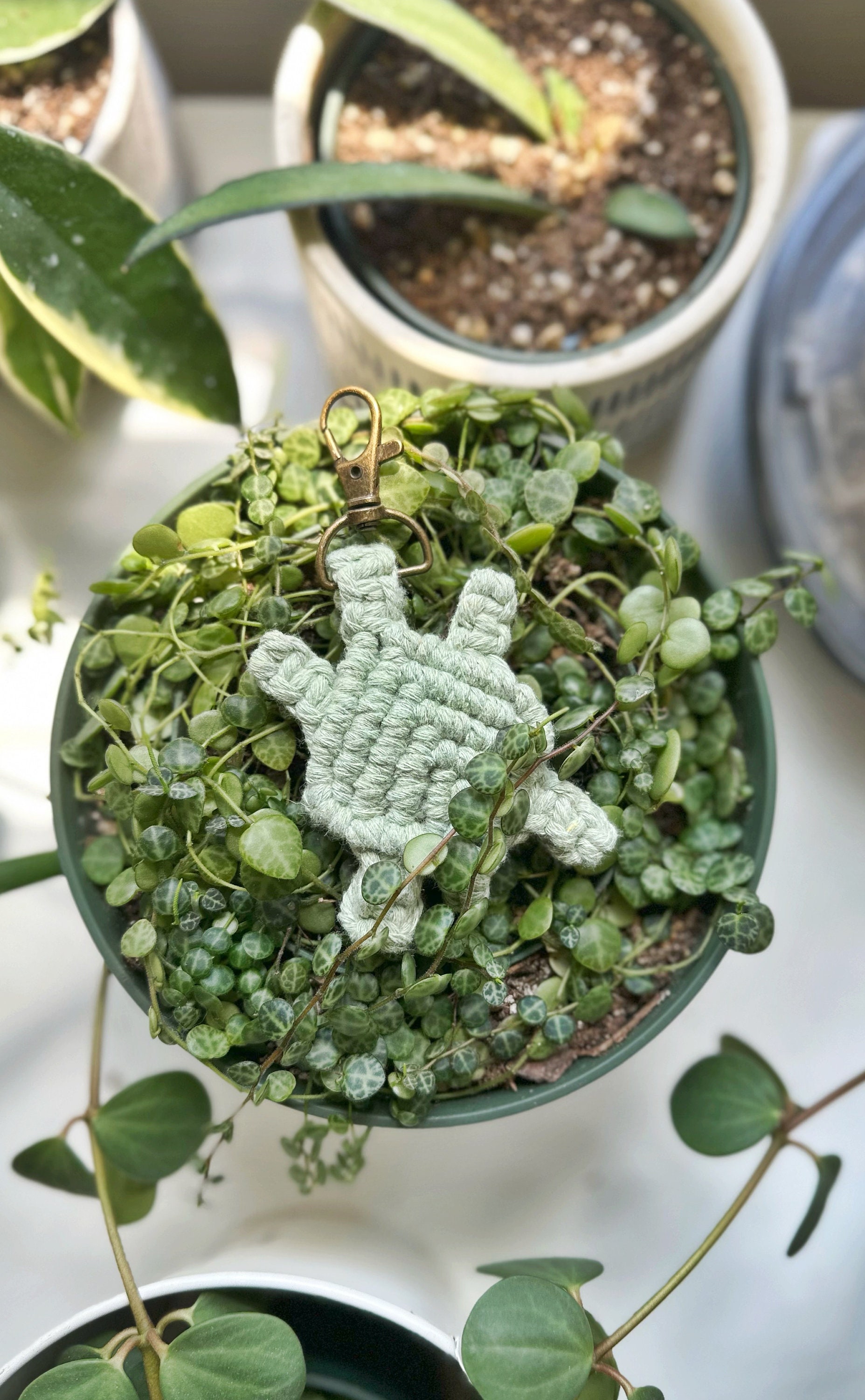 Choose 3 Tropical Macrame Turtle Keychains, Colorful Sea Turtle ...