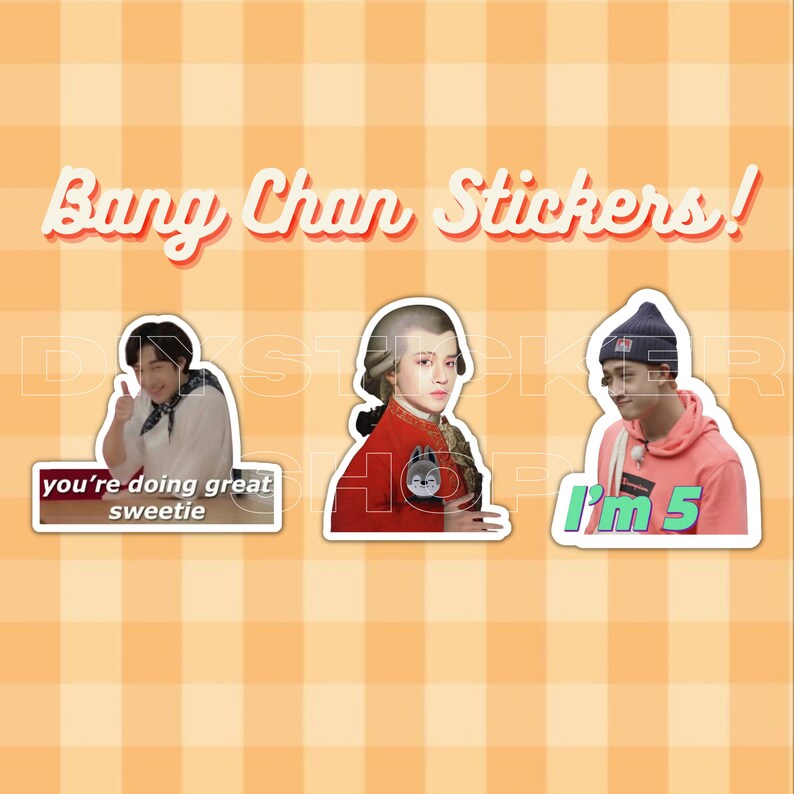 Handmade Bang Chan Meme Sticker Pack Kpop Sticker Bang Chan Skz Sticker ...