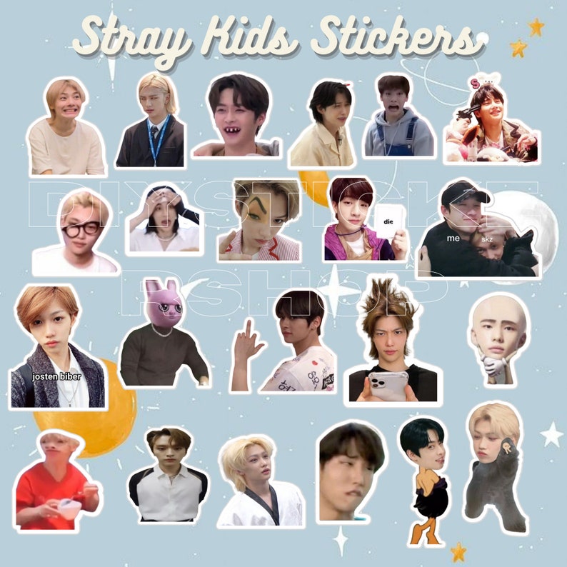 Handmade Stray Kids Meme Sticker Grab Bag Stray Kids Funny - Etsy