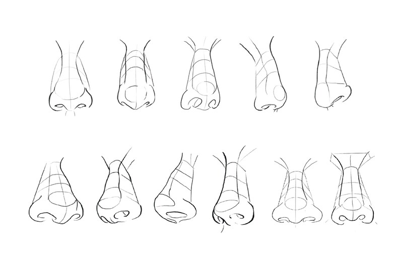 10 Nose Stamp Procreate | Procreate Nose Brushes | Nose Brush Set ...