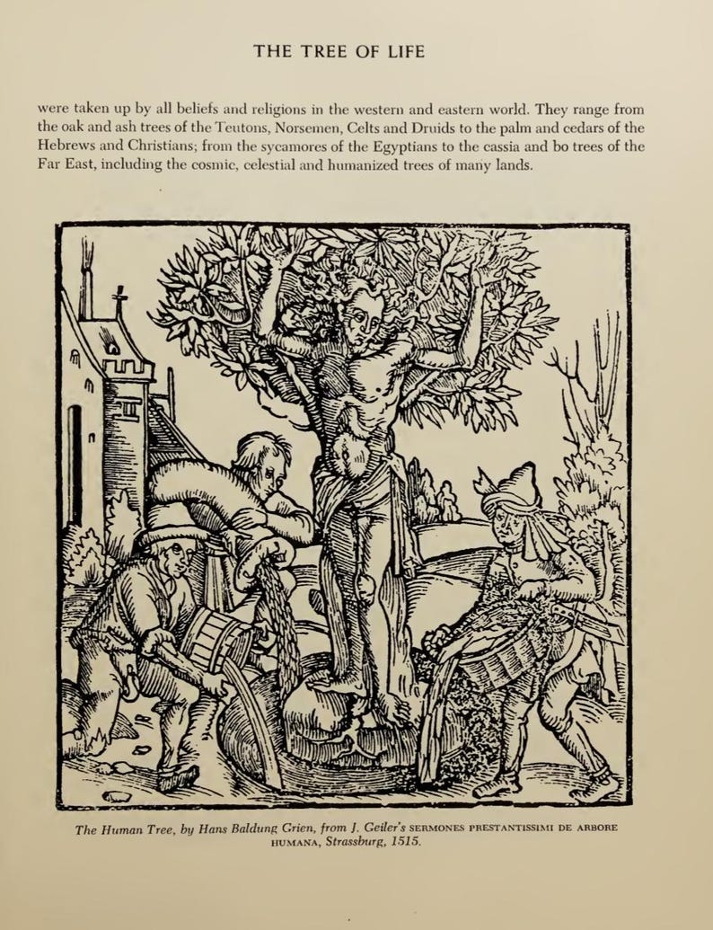 Folklore and Symbolism of Flowers, Plants, and Trees - Etsy UK