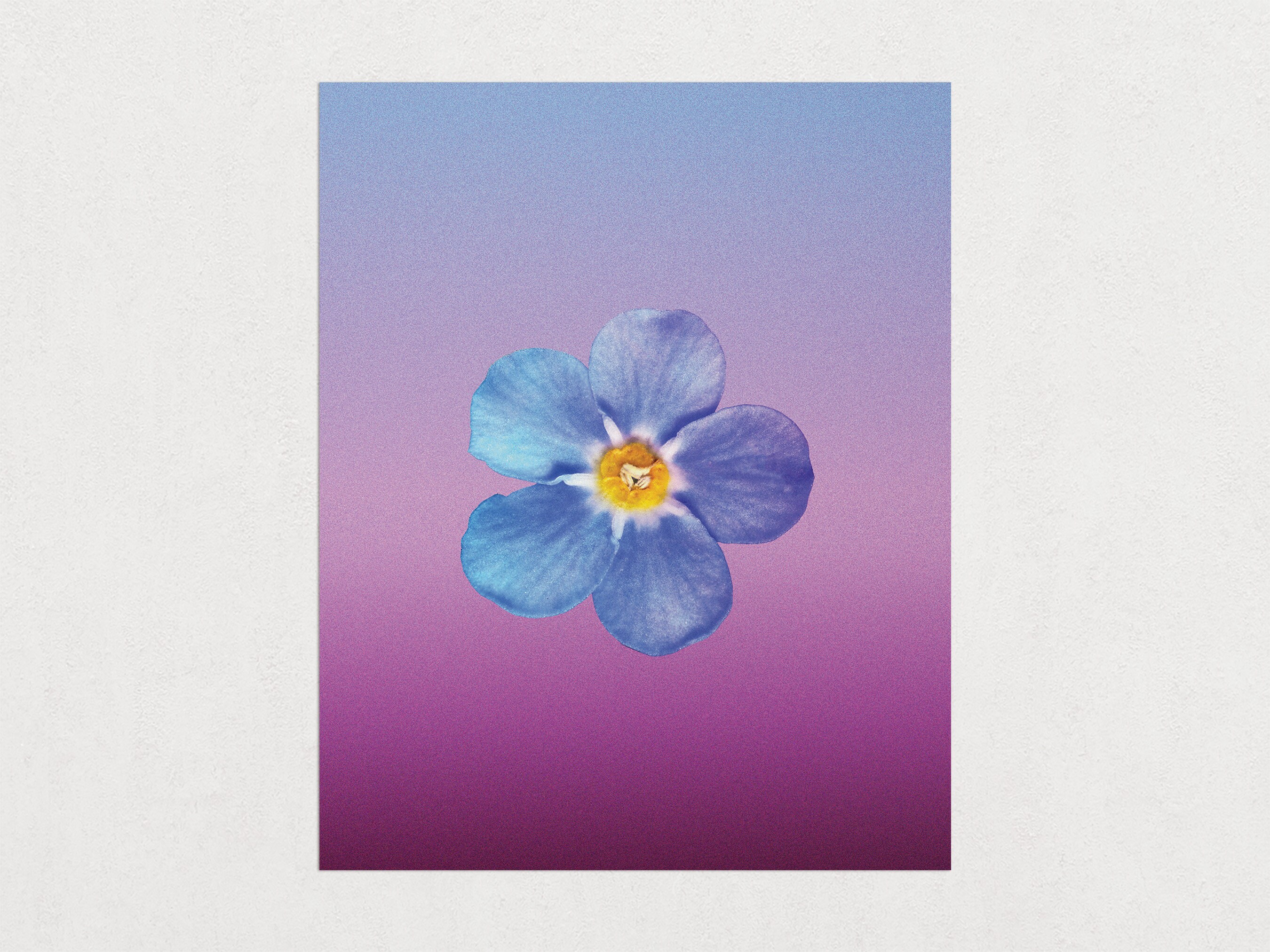 Purple Blue Gradient Flower PRINTABLE | Minimal Flower Print ...