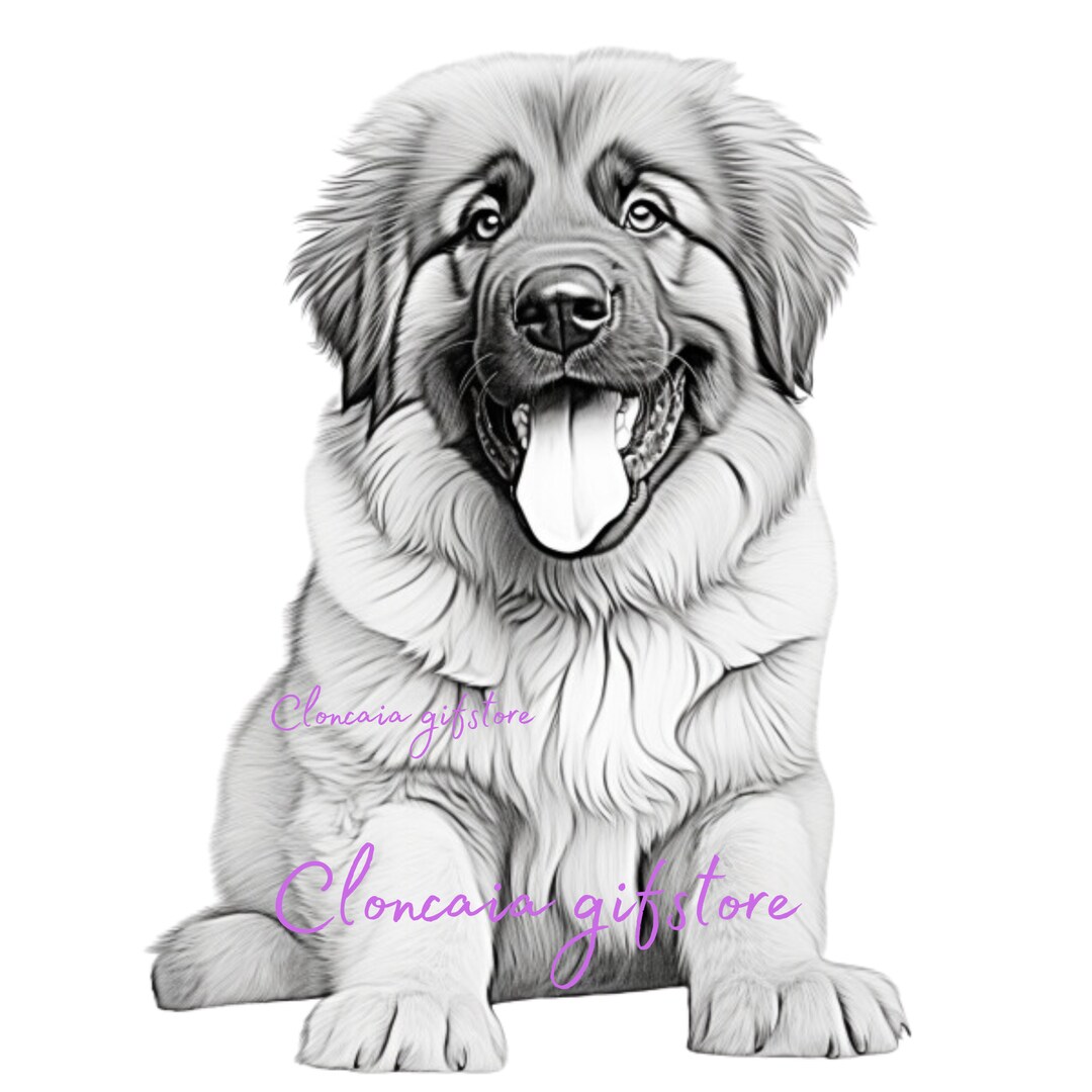 Leonberger Dog Design Leonberger Dog Png - Etsy