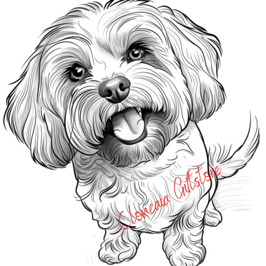 Cavapoo Dog Png Cavapoo Sketch Cavapoo Clipart Cavapoo Puppy Png - Etsy
