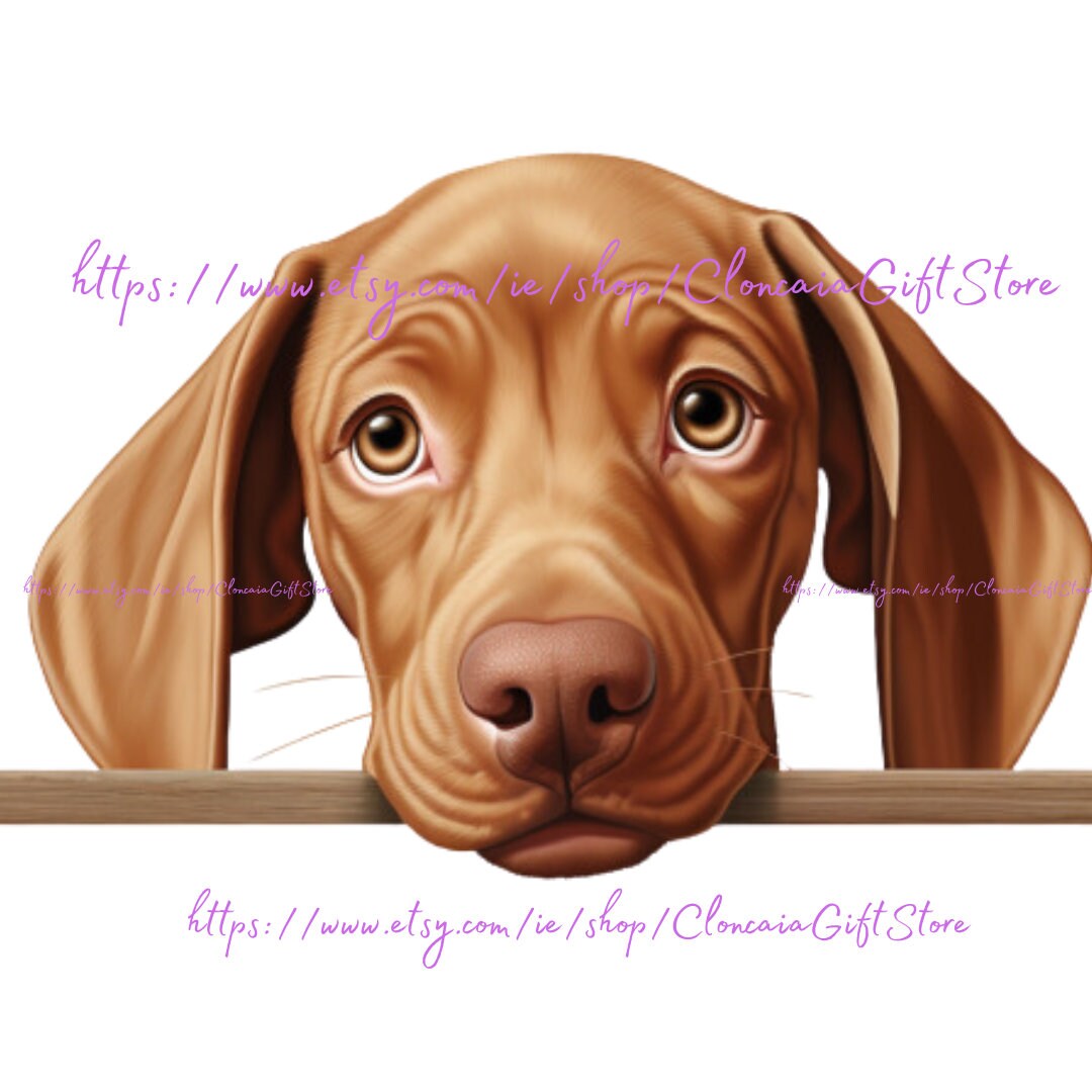 Vizsla Face Outline Vizsla Prints Vizsla Dog Design - Etsy