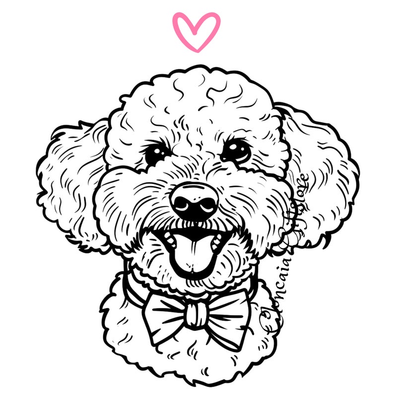 Poodle Design Poodle Clipart Poodle Png Poodle Dog Vector Digital ...