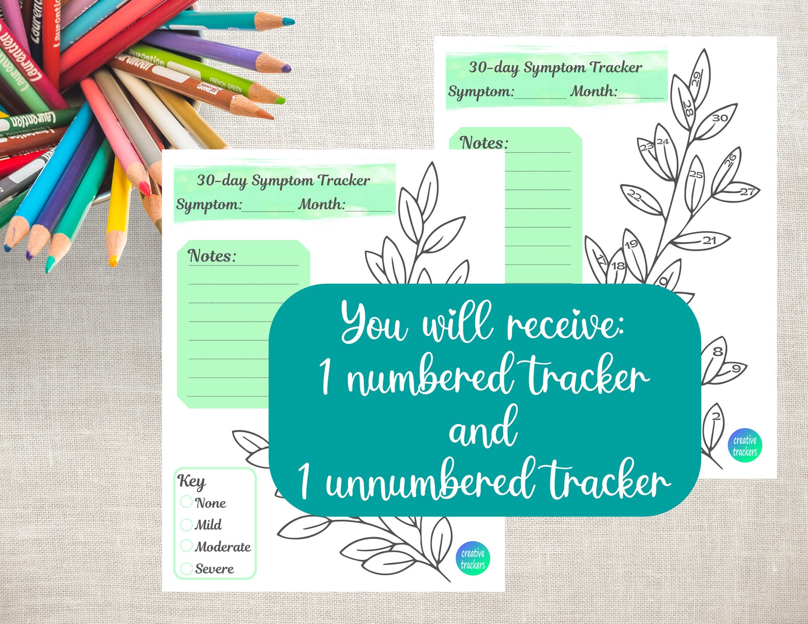 30 Day Symptom Tracker, Mental Health, Physical Health, Allergy Tracker ...