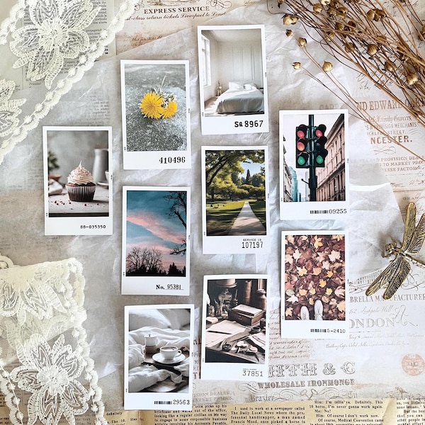 Polaroid Cut Out - Etsy