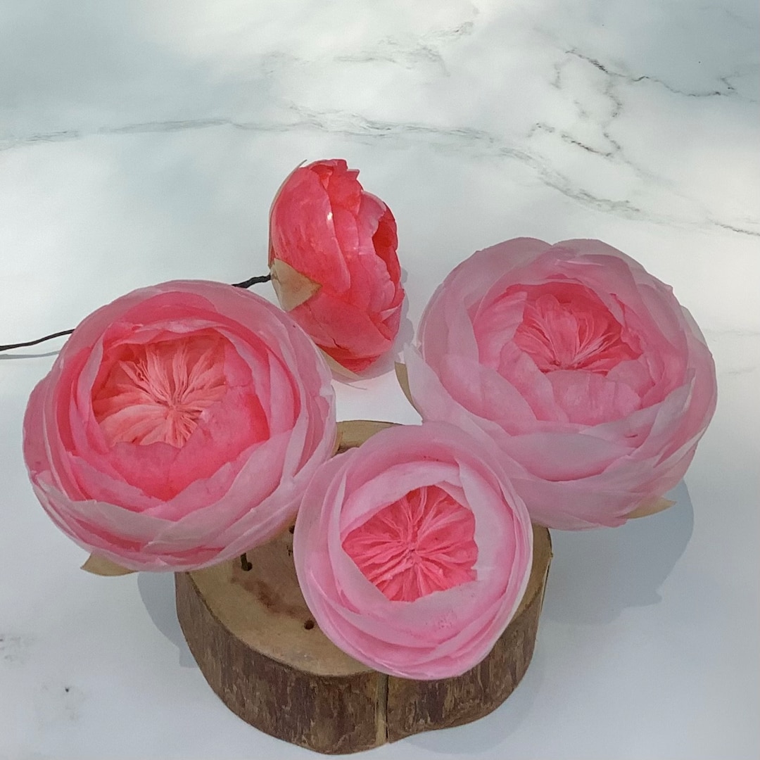 Austin Rose, Wafer Paper Flowers, Cake Decoration, Birthday Cake ...