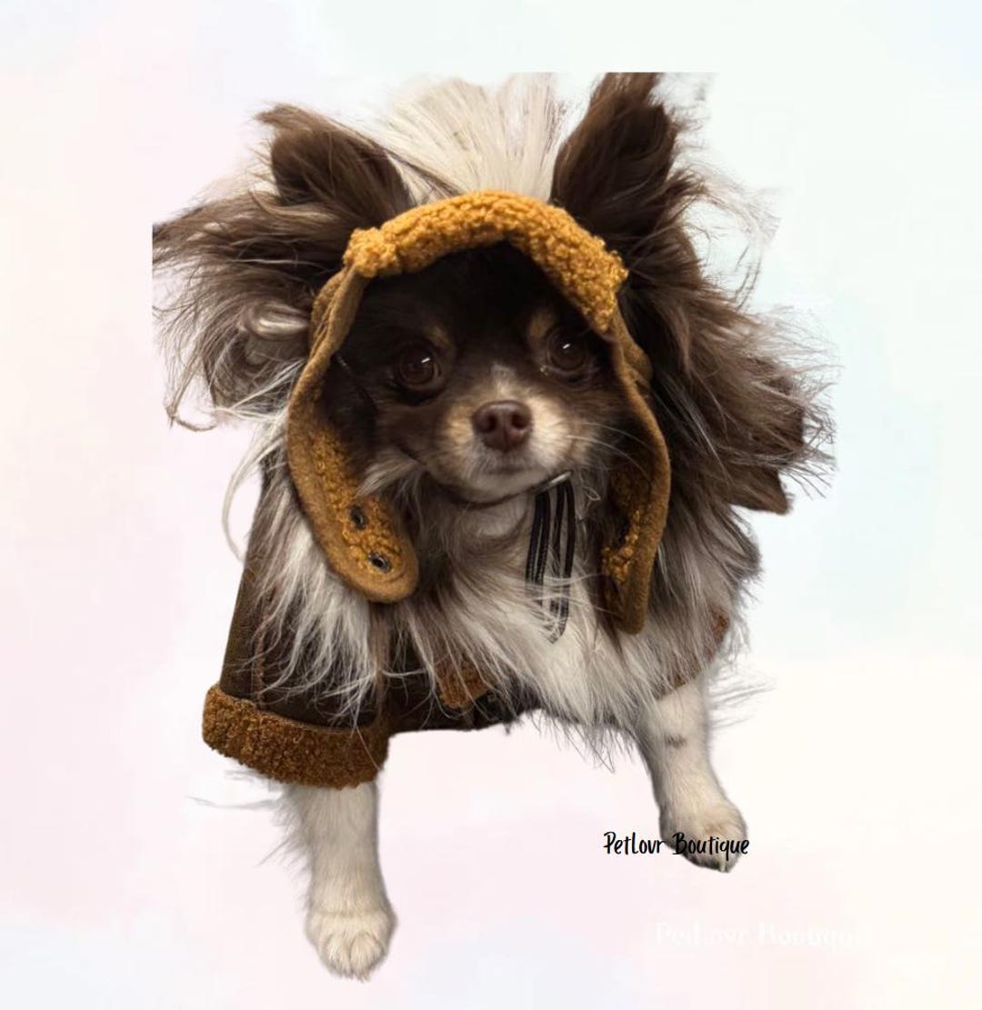 S-4X Top Gun Dog Bomber Coat-maverick Dog Patched Halloween Costume ...