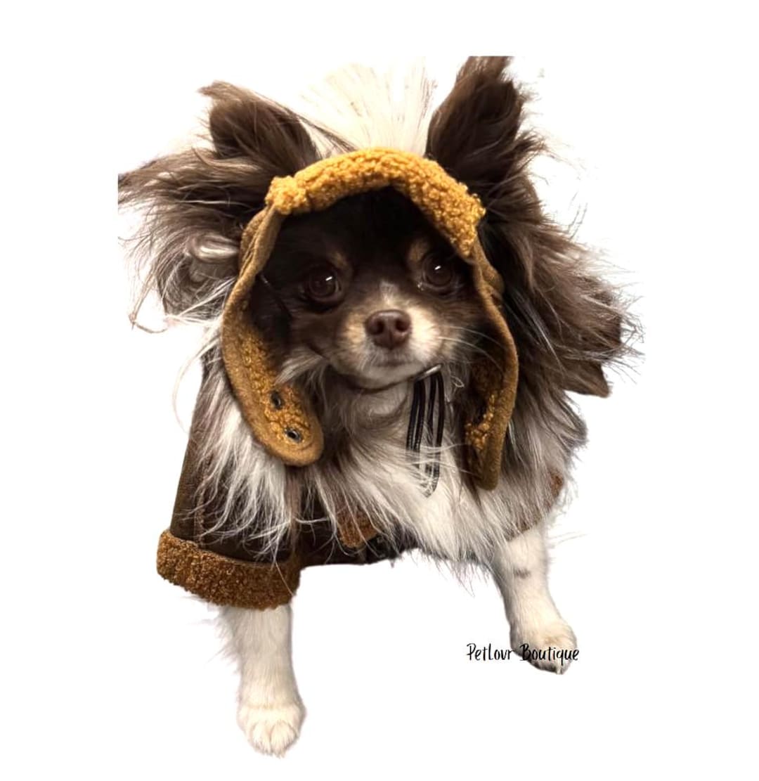 Dog Aviator Pet Pilot Hat: PU Leather Bomber Sherpa Cap - Etsy