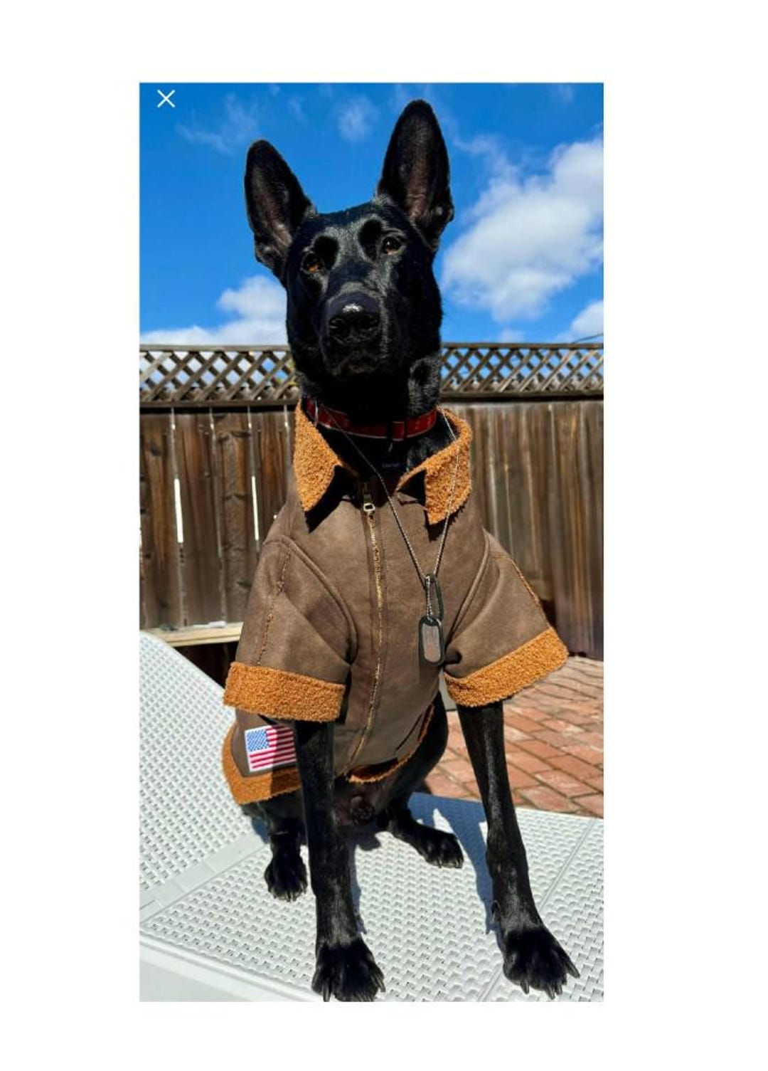 Top Gun Dog Bomber Jacket, Personalized Pet Aviator Coat - Etsy
