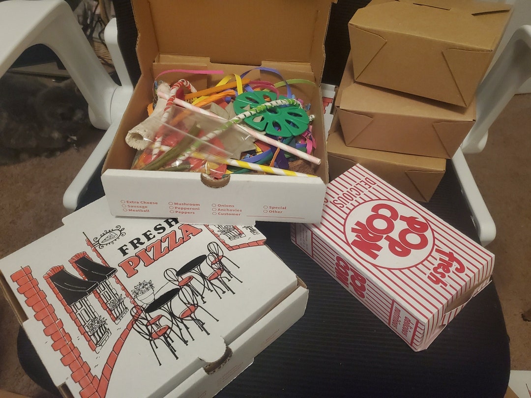 Forage Boxes for Birds Stuffed Full of Treats, Chews, and Toys - Etsy