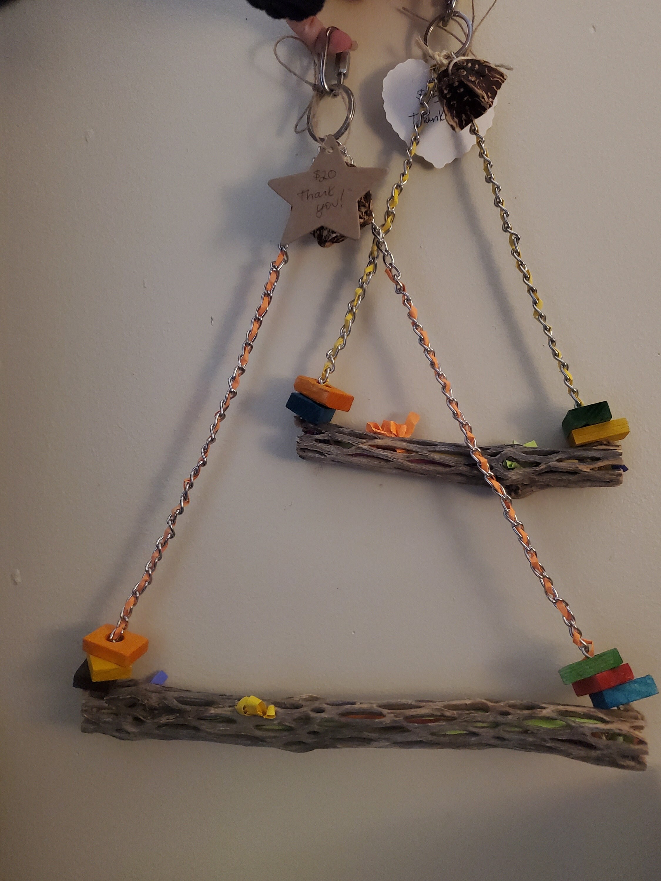 Budding Cholla Swing foraging Shreddable Swing for Birds - Etsy