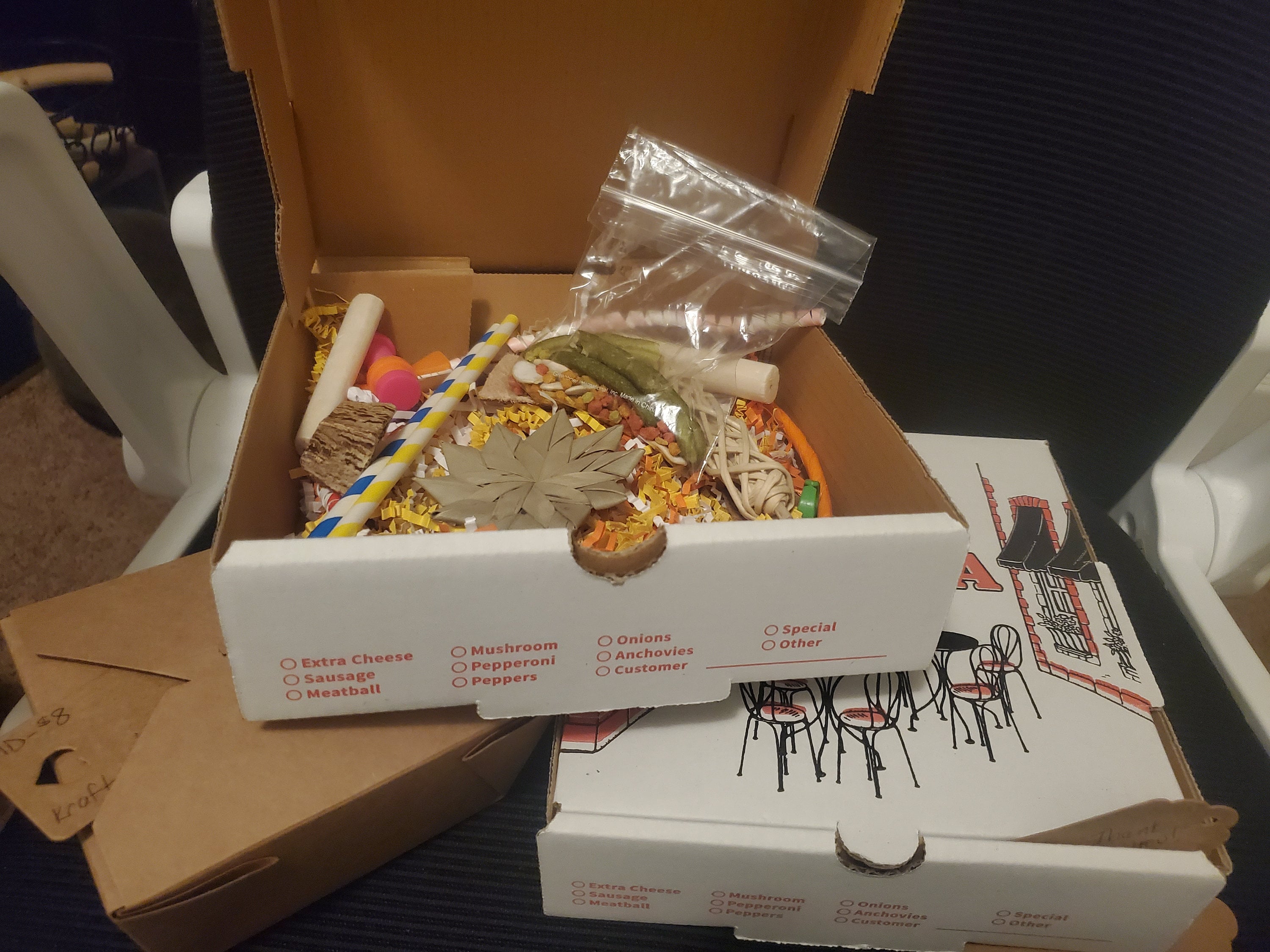 Forage Boxes for Birds Stuffed Full of Treats, Chews, and Toys - Etsy