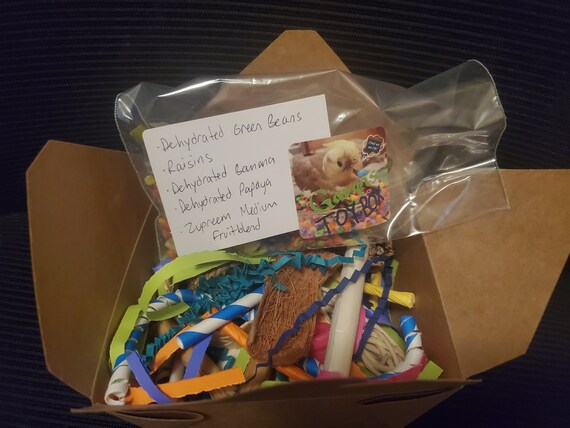 Forage Boxes for Birds Stuffed Full of Treats Chews and - Etsy