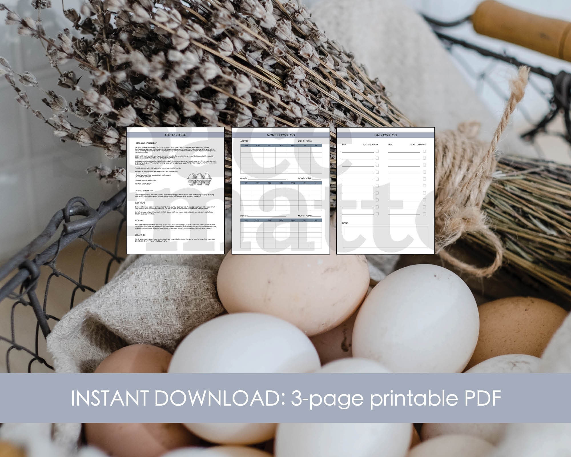 Poultry Chicken Egg Tracking Set Printable - 3 Pages / Instant Download ...