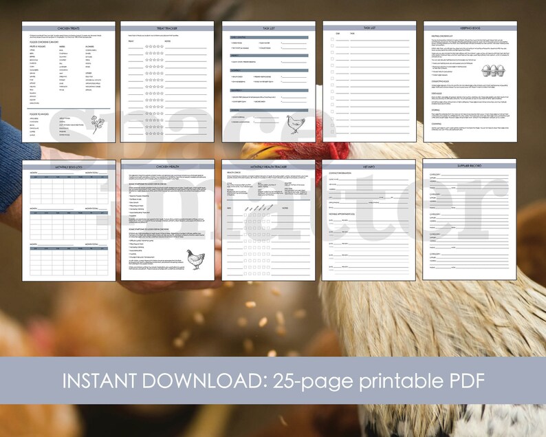 Backyard Chickens Printable - 25 Pages / Raising Chickens Guide ...