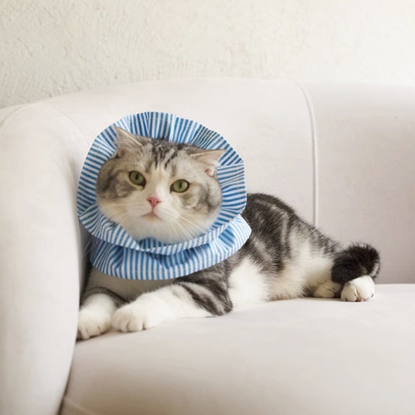 Elizabethan Collar - Etsy