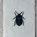 Beetle Print - Original Linocut Press - Handmade - Wall Art - Etsy