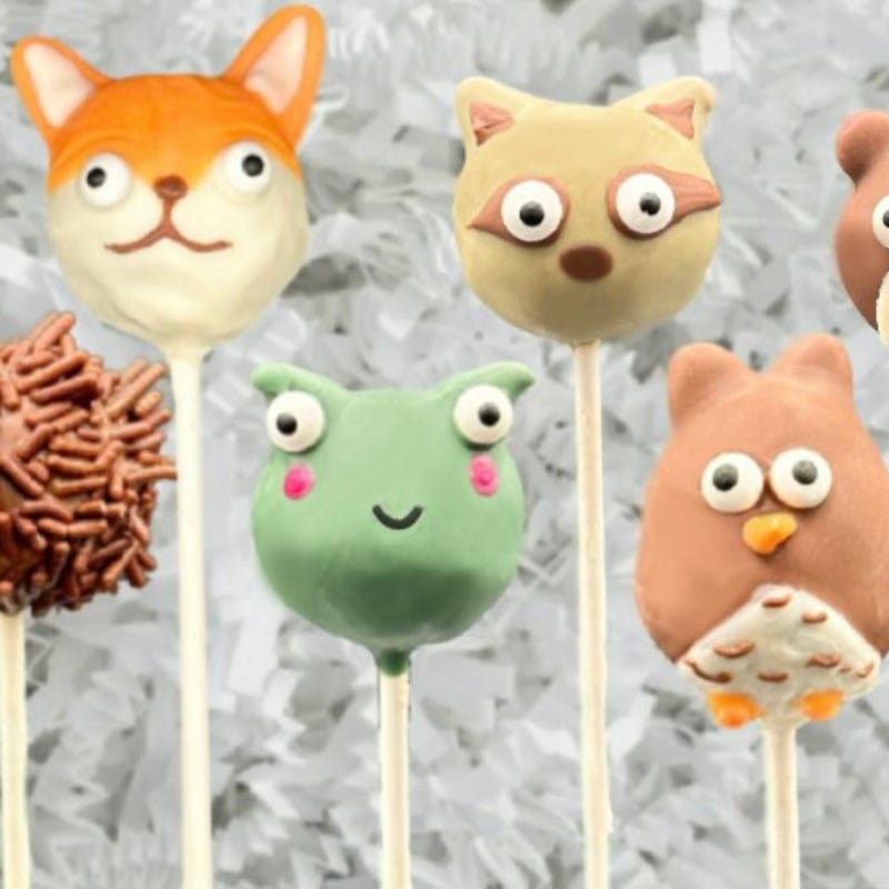 Animal Cake Pops - Etsy