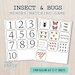 Insect & Bugs Memory Matching Game: Preschool Printable (PDF) - Etsy