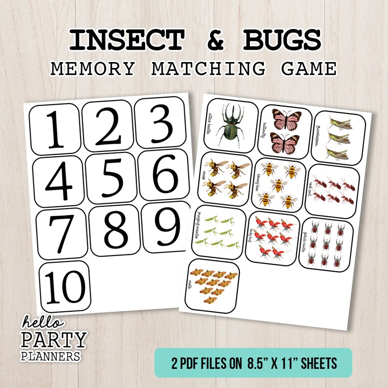 Insect & Bugs Memory Matching Game: Preschool Printable (PDF) - Etsy
