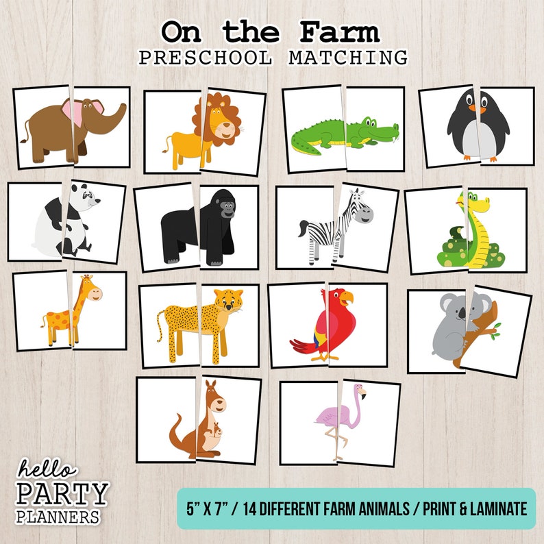 Zoo Animal Matching Game Preschool Activities Printable Zoo - Etsy