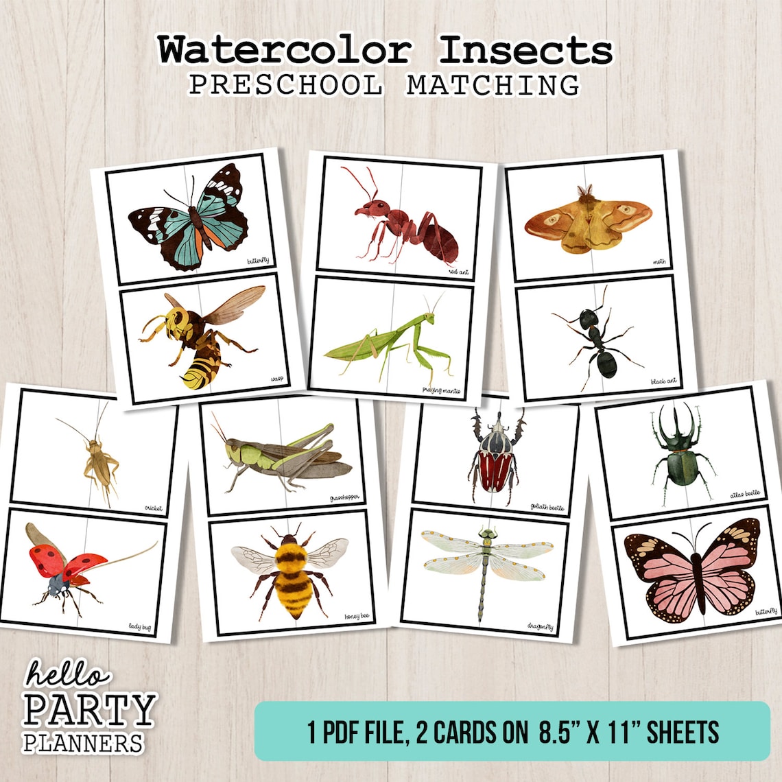 Watercolor Insect Matching Game: Preschool Printable (digital Download ...