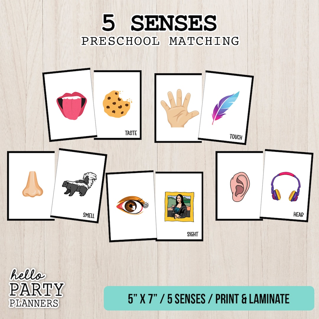 Five Senses Matching Game: Preschool Learning Activity (digital ...