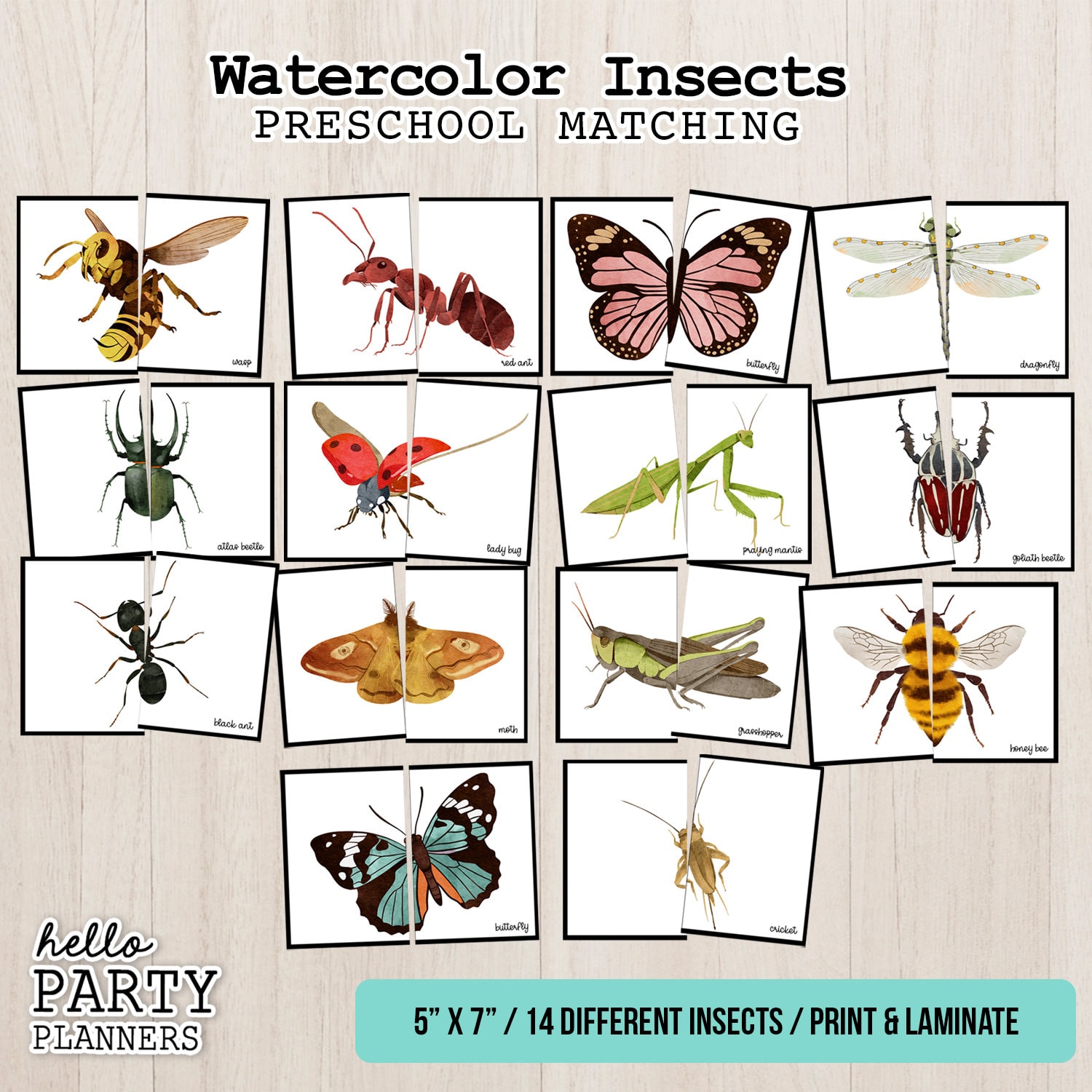 Insect Matching Game Preschool Activities Printable Watercolor Insects ...