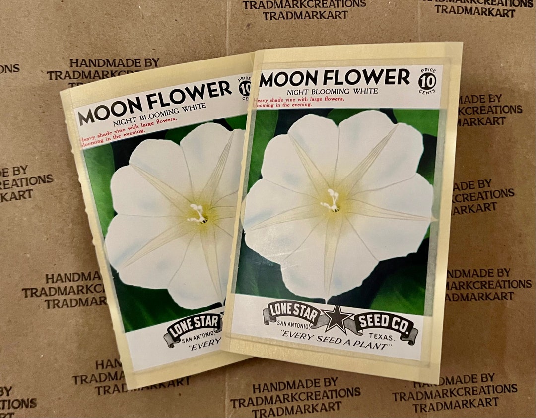 Handmade Vintage Seed Packet Onion Skin Paper Notebook/journal ...