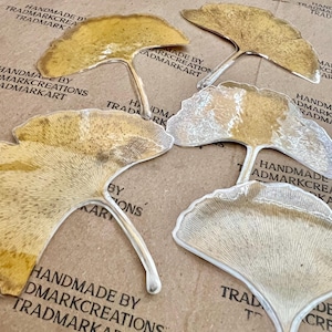 Pressed Ginkgo Leaves various Laminated - Etsy
