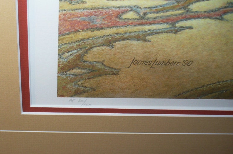 James Lumbers "cat Napping" Artist Proof Edition Framed Print by ...