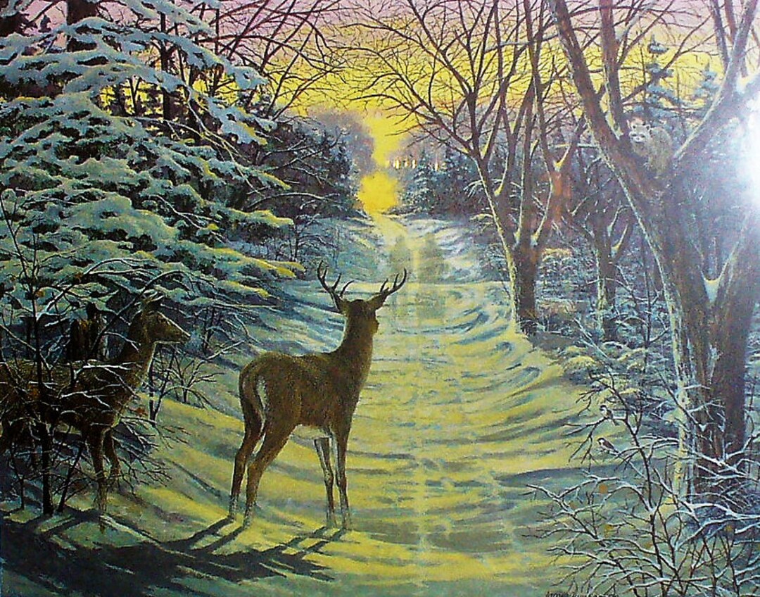 James Lumbers "winter Solstice" Limited Edition Remarque (pencil Sketch ...