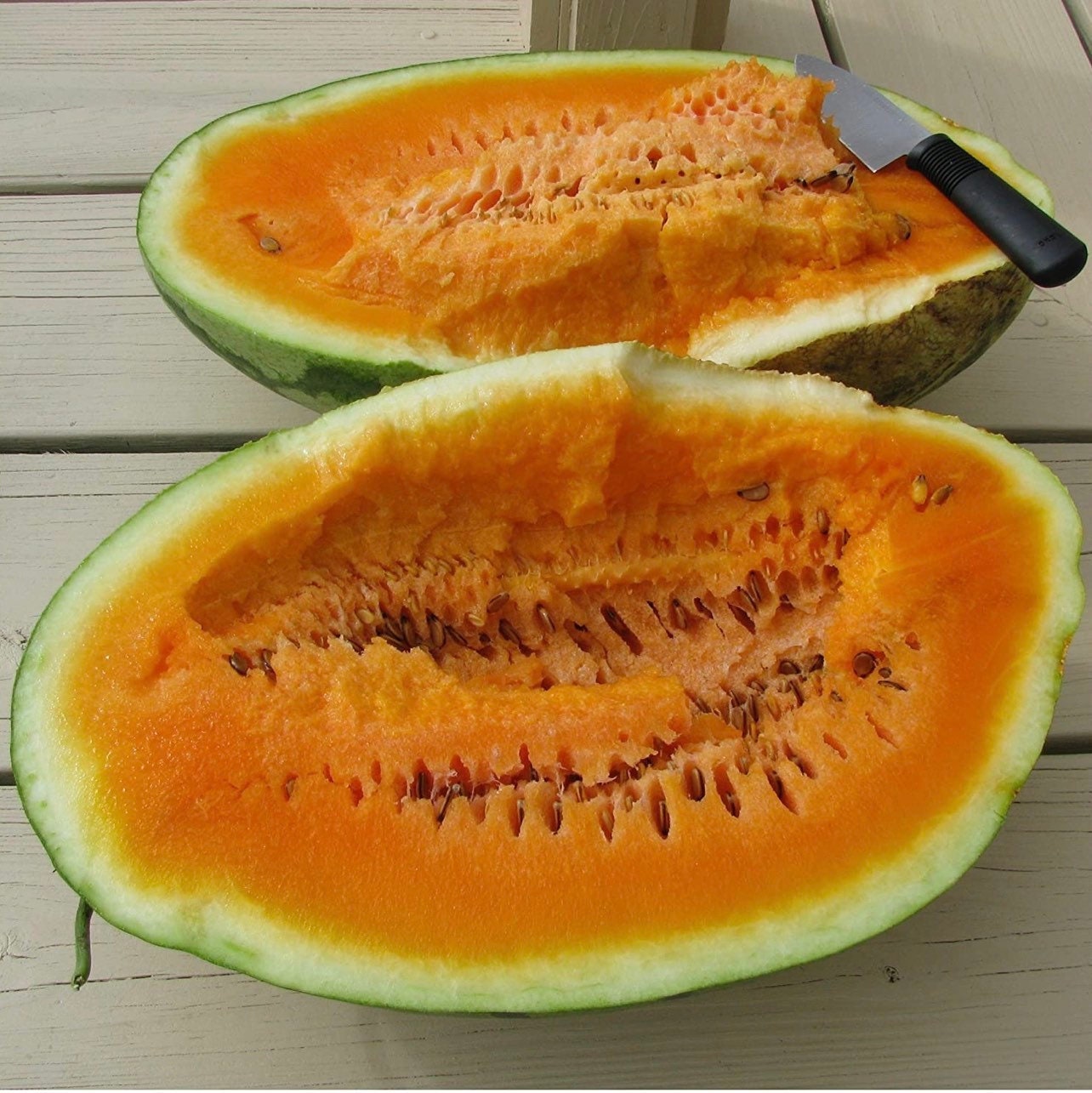 Juicy Oranglo Orange Meat Watermelon Glow 20 Seeds Sweet Juicy Rare ...