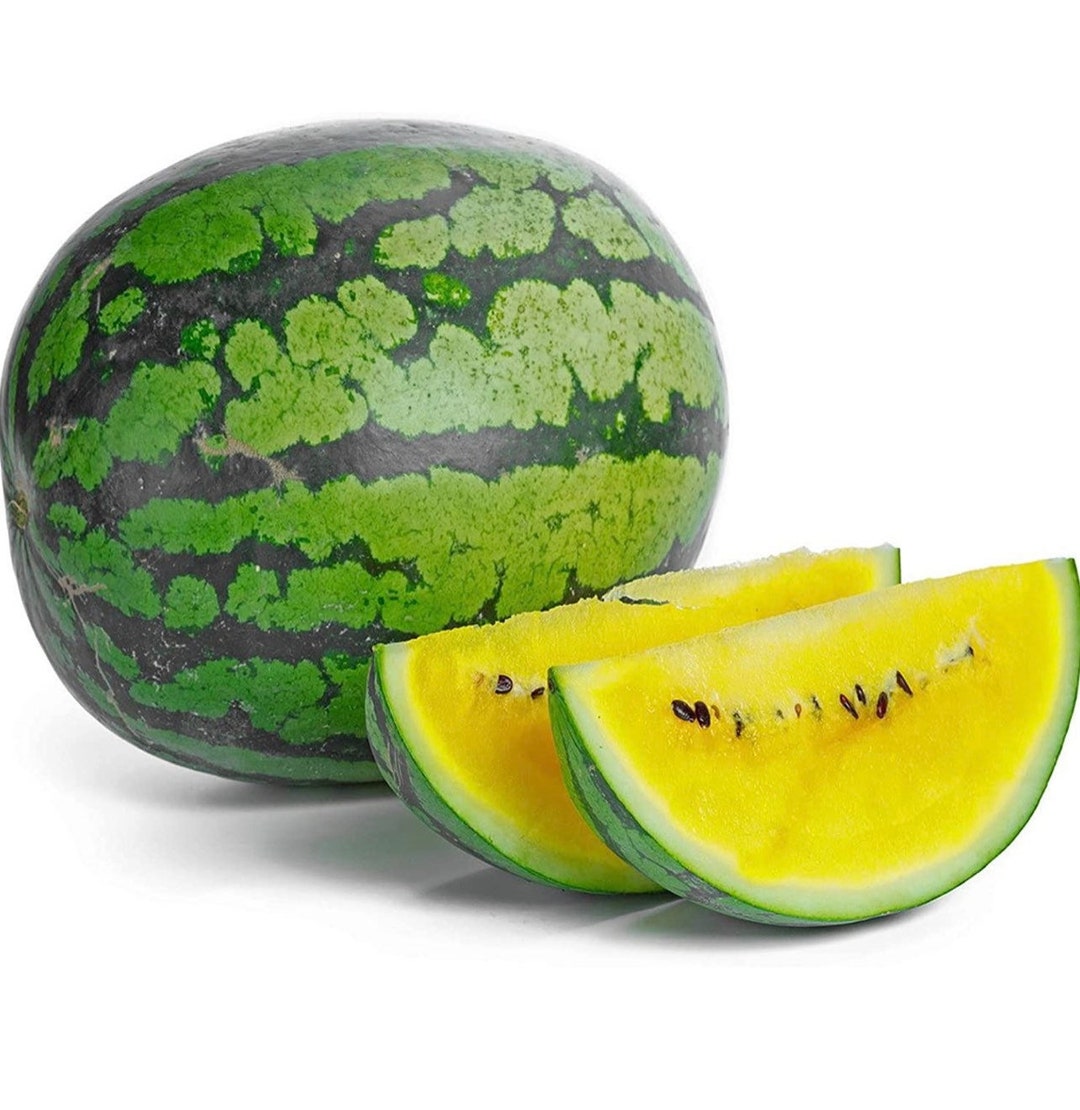 Juicy Yellowglo Yellow Meat Watermelon Glow 20 Seeds Sweet Juicy Rare ...