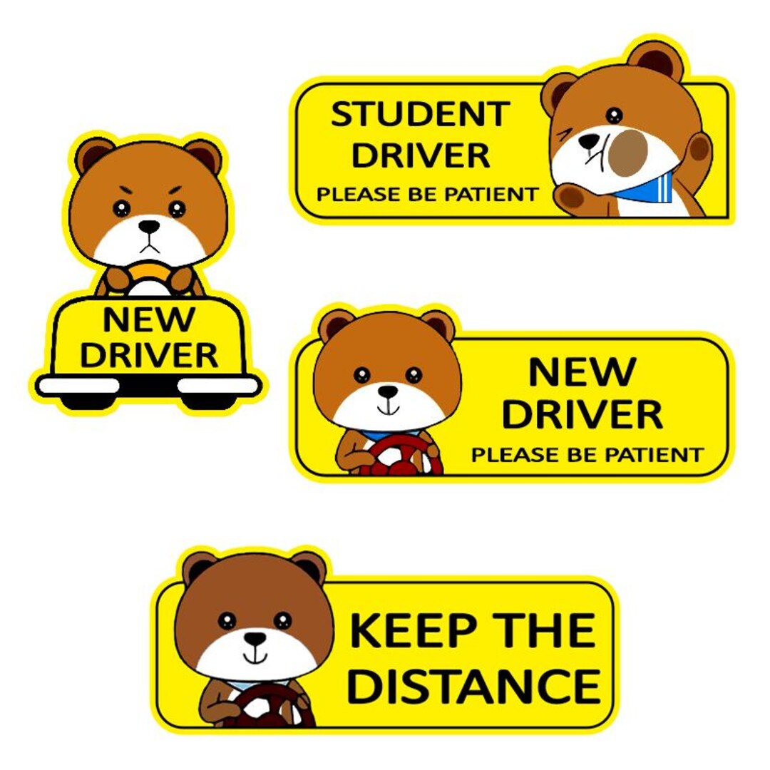 Cute Bear New Driver Safety Sticker Set – Student Driver, New Driver ...