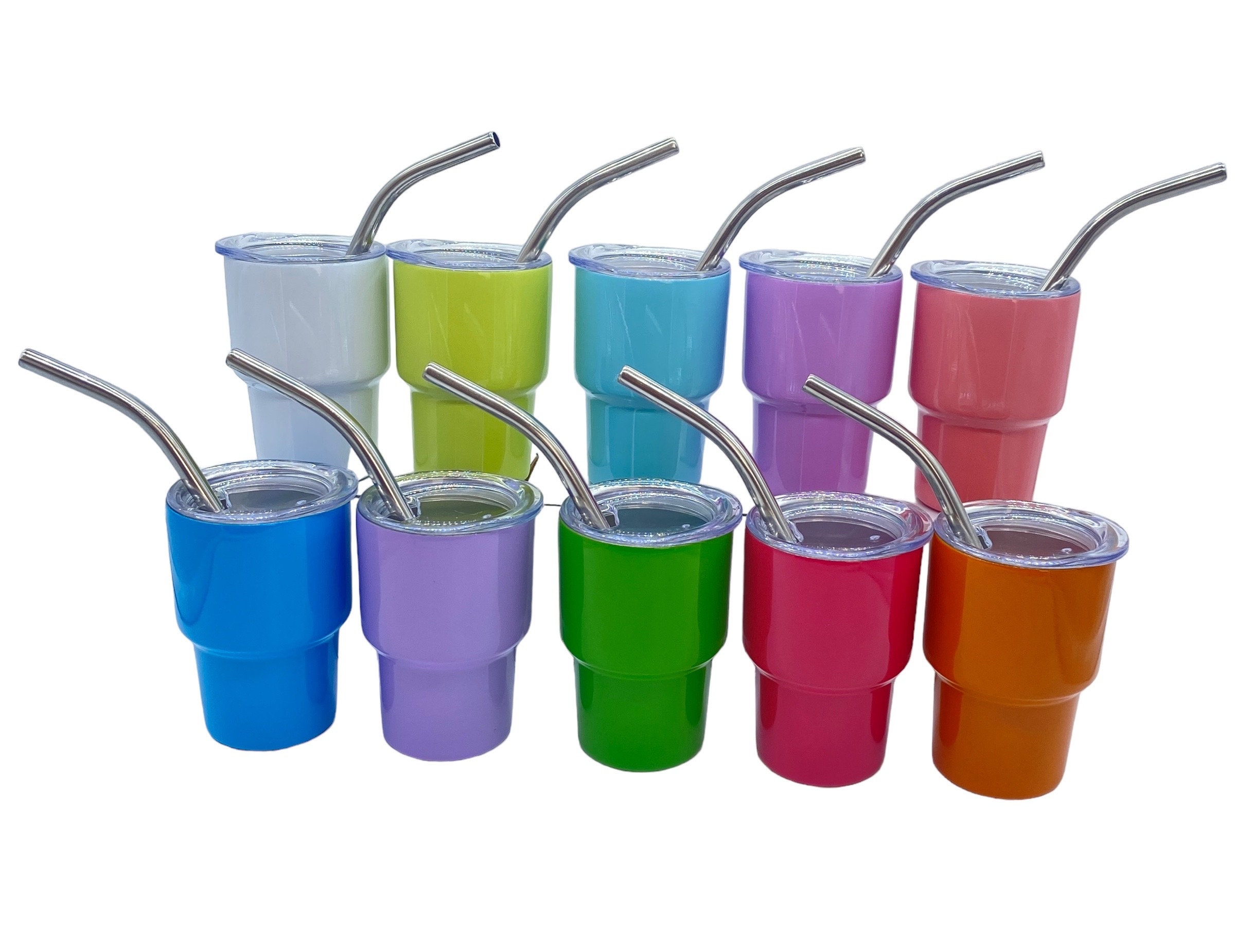 Mini Shot Tumbler Stainless Steel Shot Glass With Lid and Straw - 2oz ...