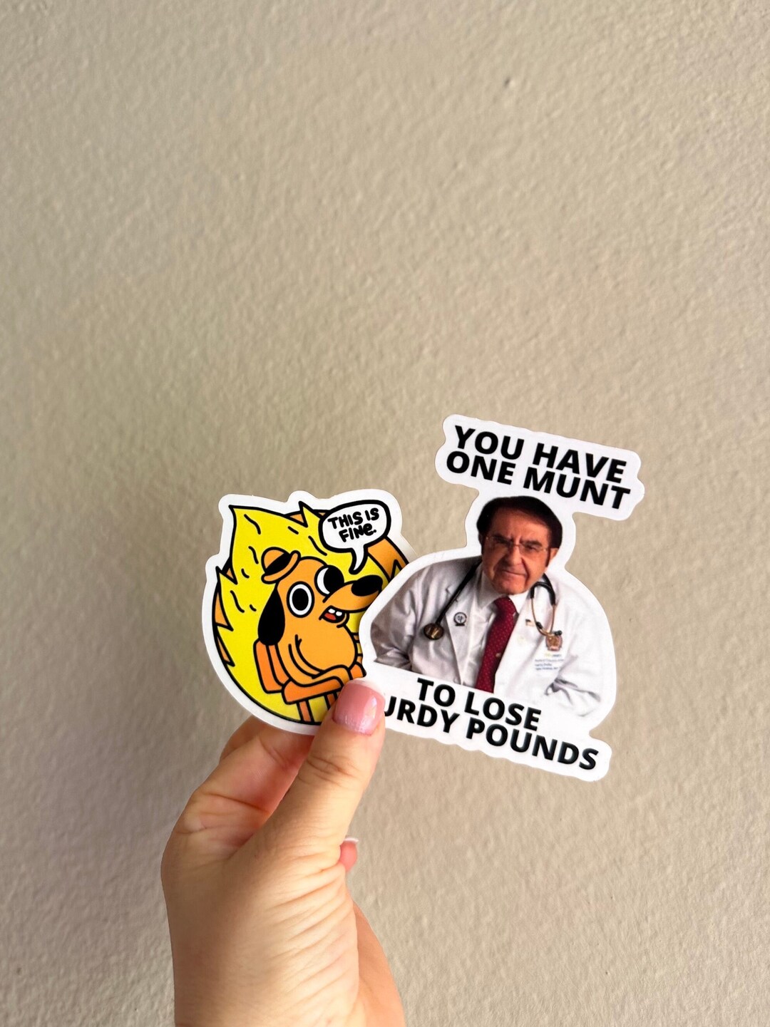 2 Stickers Pack Dr. Nowzaradan Meme Sticker You Have One Munt to Lose ...