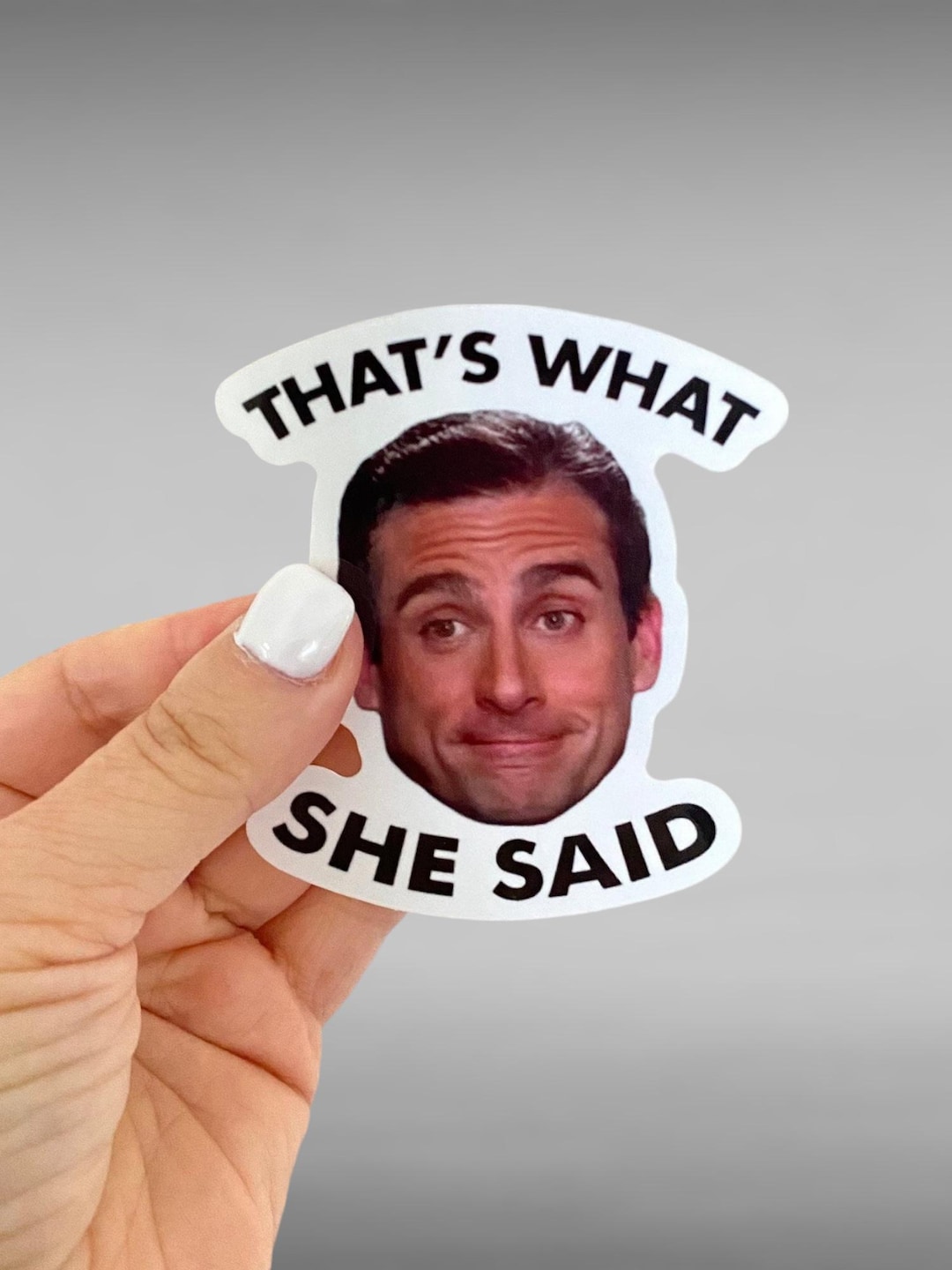 Thats What She Said Sticker Vinyl Decal Gift, Laptop Sticker, Car ...