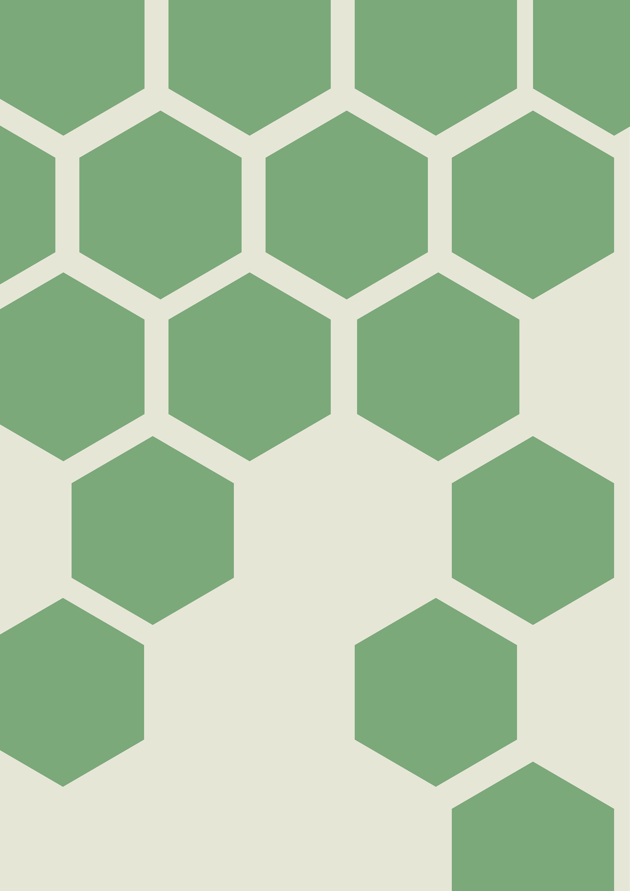 Hexagon Tessellation