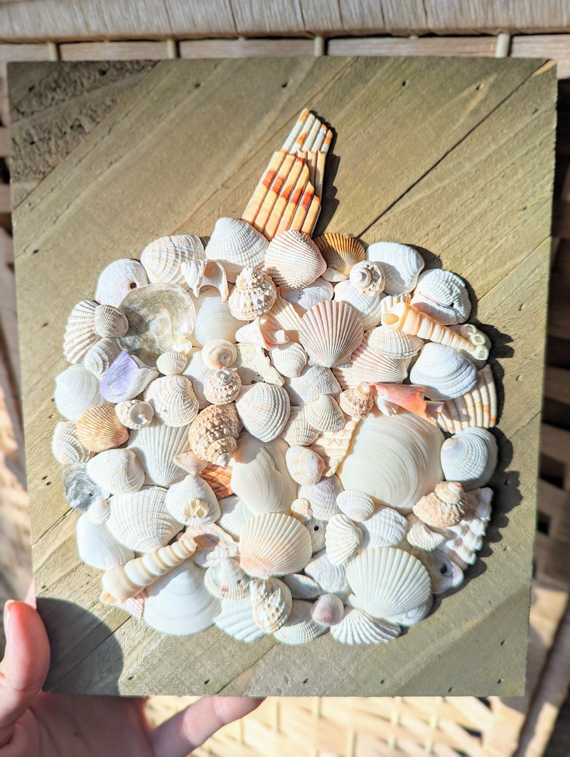 Seashell Pumpkin Wall Art: Coastal Fall Decor - Etsy