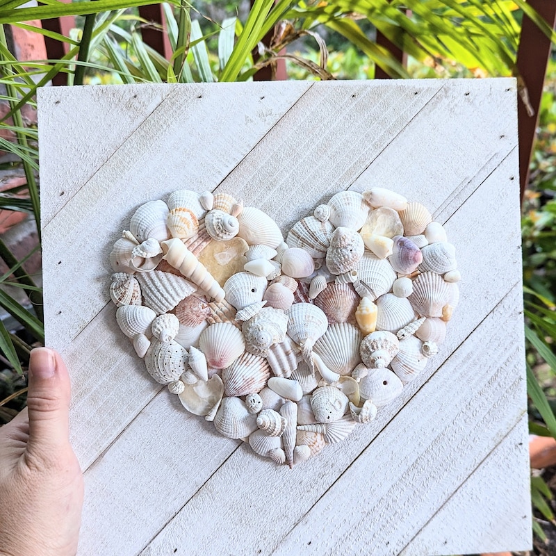 Seashell Heart - Etsy