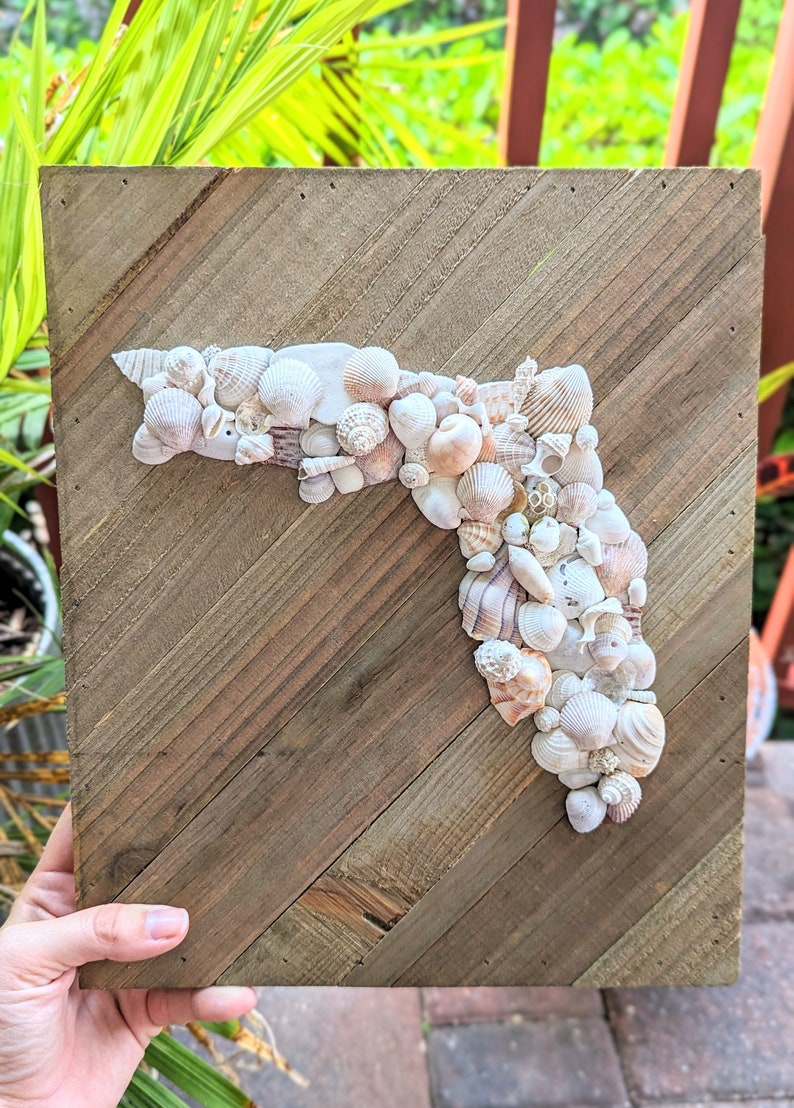 Seashell State Art: Florida, Alabama, Texas, More Coastal Decor - Etsy