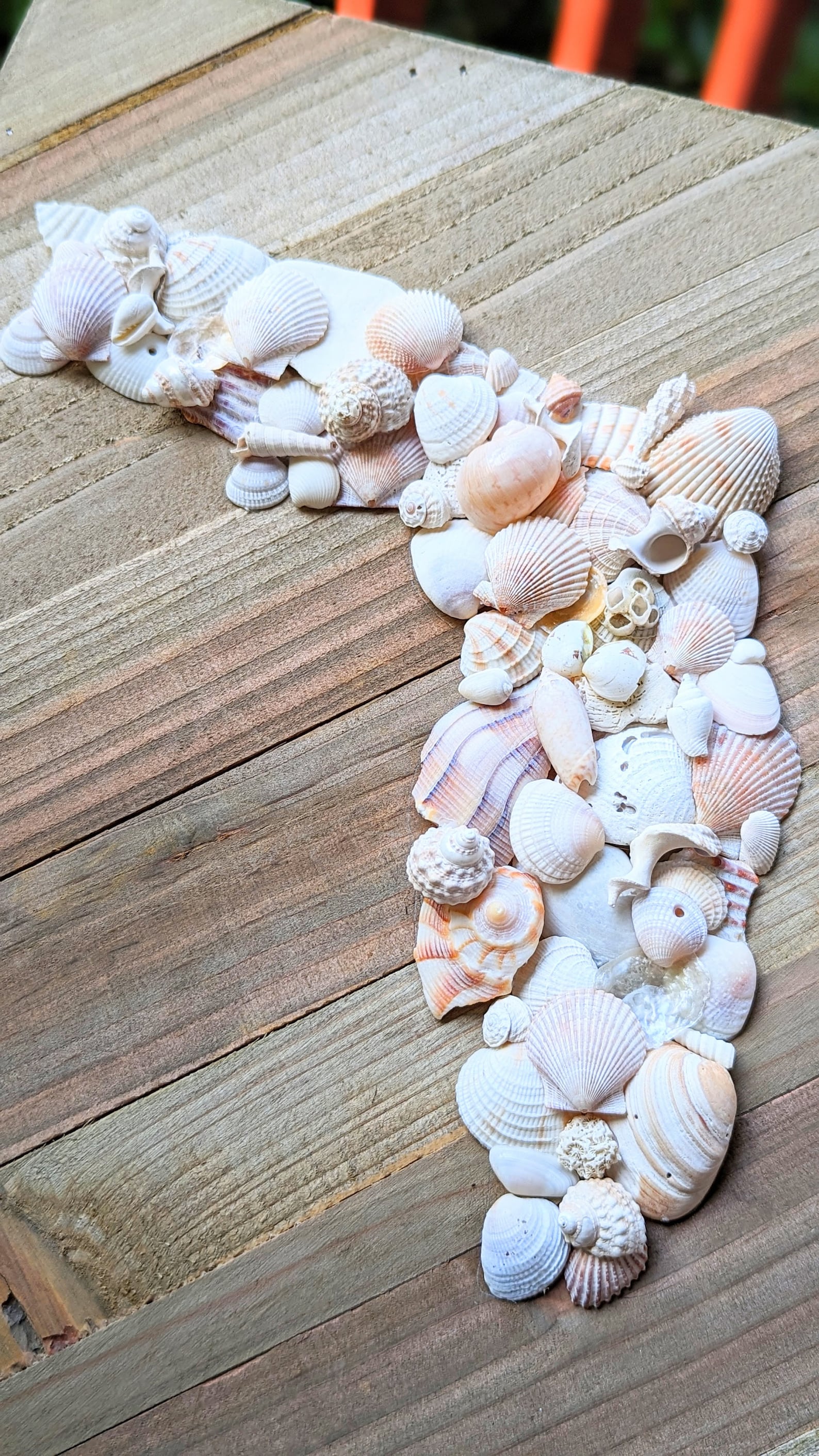 Seashell State Art: Florida, Alabama, Texas, More Coastal Decor - Etsy