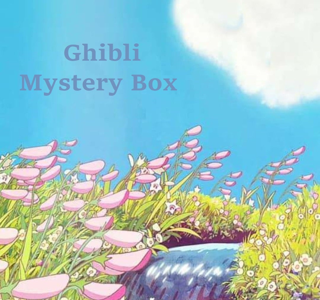 Ghibli Mystery Box - Etsy